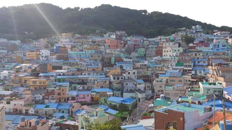 "Marseille of Korea" Busan Private Tour with French Guide - The Sum Up