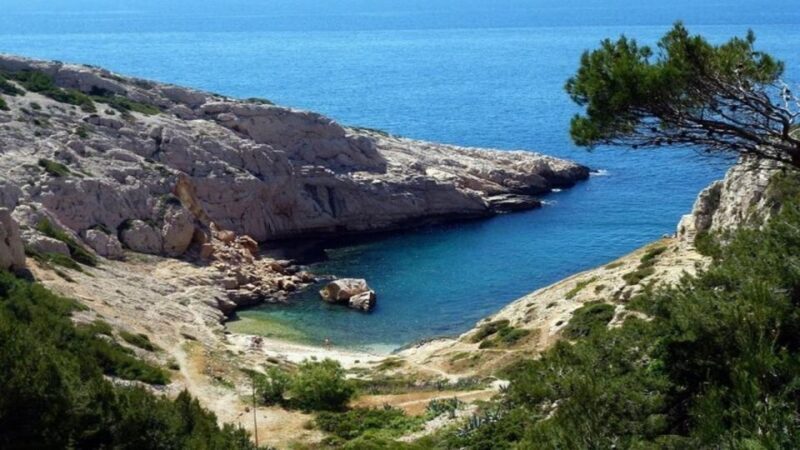 Marseille : Private Custom Tour with a Local Guide - Authentic Experiences & Reviews