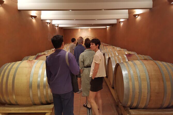 Marseille Shore Excursion - Full Day Wine Tour in Provence - Authenticity and Practical Tips