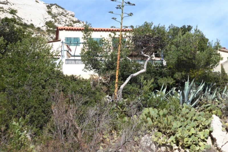 Marseille: Sormiou Calanque Half-Day Hiking Tour w/Swimming - Key Points