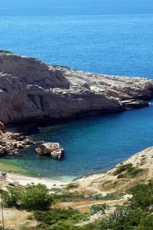 Marseille : Vieux-Port & Panier Walking Tour - Walking, Learning, and Practicalities