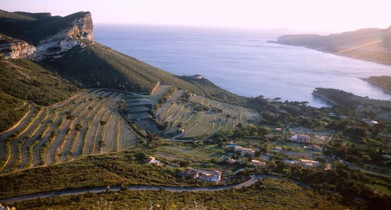 Marseille Vieux Port & Wine Tasting - Private Tour - Exploring the Lyoness of Provence in One Day