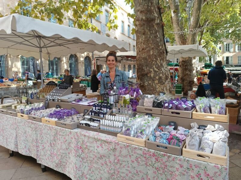 Marseilles and Aix-en-Provence Guided Tour - Considerations for Travelers