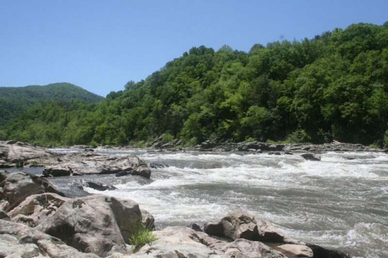 Marshall: French Broad Whitewater River Rafting Experience - The Itinerary in Detail