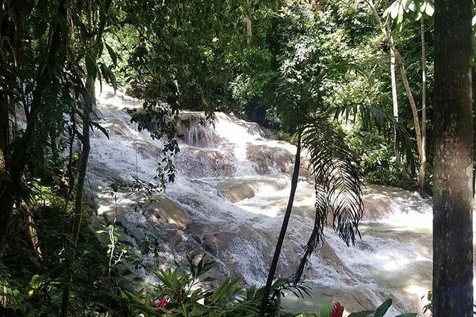 Martha Brae and Dunns River Falls Day Tour - The Sum Up: Who Will Love This Tour?
