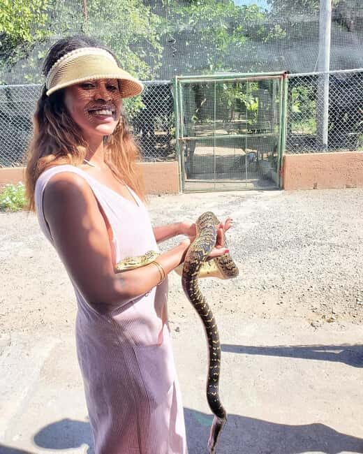 Martha Brae River Bamboo Rafting and Swamp Safari Day Tour - The Sum Up