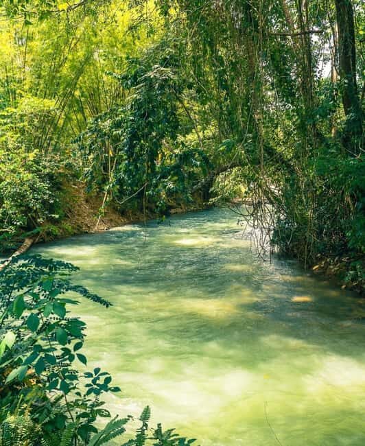 Martha Brae River Bamboo Rafting and Swamp Safari Day Tour - FAQ