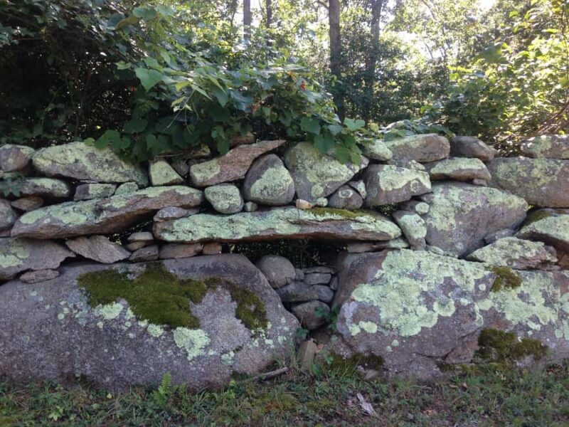 Martha's Vineyard: 6 Town Island Group Tour - An In-Depth Look at the Tour Experience