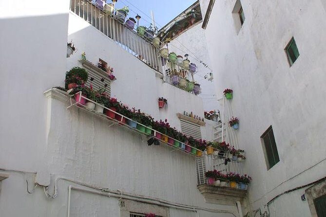 Martina Franca: a gem among Baroque and Rococo style with bocconotti tasting - Introduction