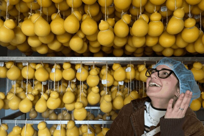Martina Franca: Mozzarella and Pasta Workshop with Farm Tour - Key Points