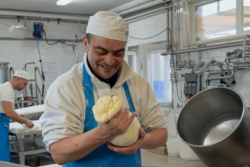 Martina Franca: Mozzarella and Pasta Workshop with Farm Tour - A Closer Look at the Experience