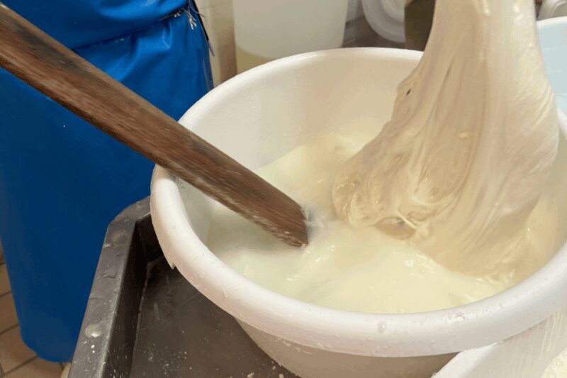 Martina Franca: Mozzarella and Pasta Workshop with Farm Tour - FAQs