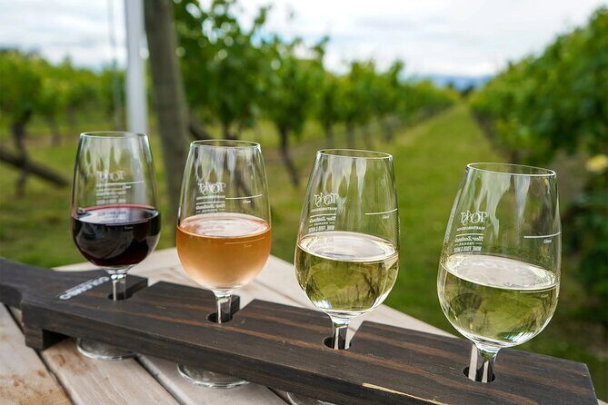 Martinborough Region Day Trip including beverage sampling - A Comprehensive Dive into the Martinborough Day Trip