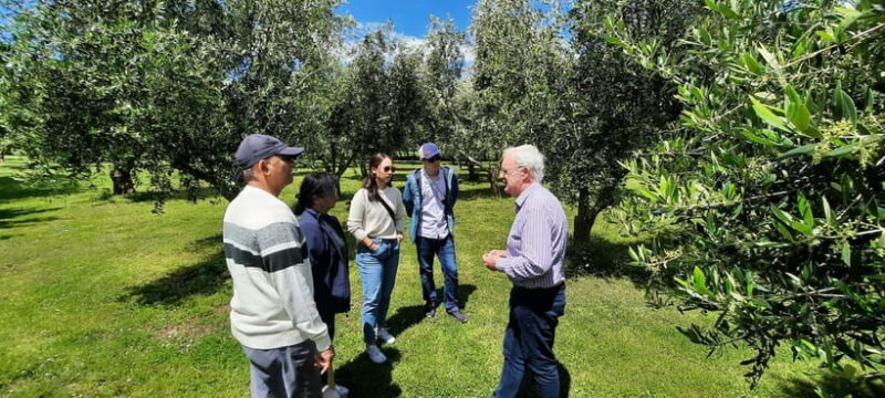 Martinborough Wine and Food Tour with Lunch from Wellington - The Sum Up