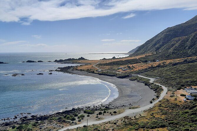 Martinborough Wine and Wild Coast Tour from Wellington - The Value of This Tour