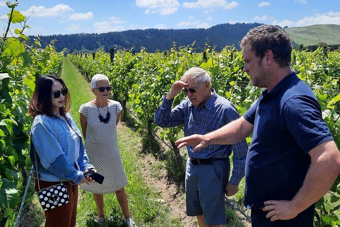 Martinborough Winery and Foodie Day Tour with vineyard lunch - Exploring the Martinborough Winery and Foodie Day Tour: A Practical Review