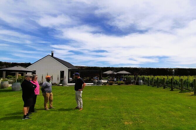 Martinborough Winery and Foodie Day Tour with vineyard lunch - Who Will Love This Experience?