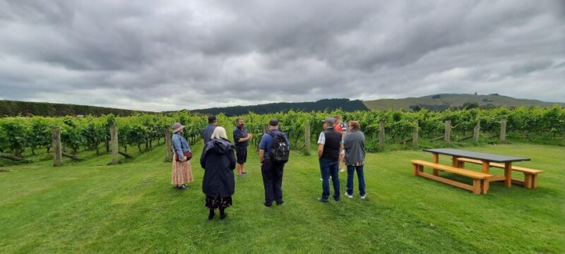Martinborough Winery and South Wairarapa Wild Coast Tour - Exploring Martinborough’s Vineyards