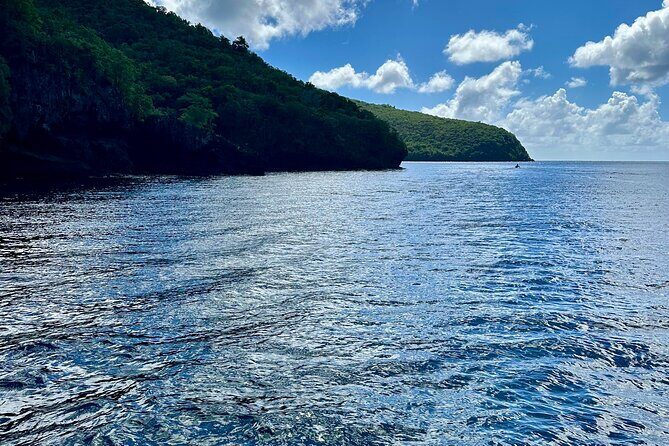 Martinique : Anse Coralienne & Tortues - Who Would Enjoy This Tour?