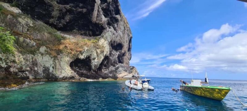 Martinique: Cruise and Snorkel with Turtles, Fish, and Corals - Snorkeling and Wildlife Encounters