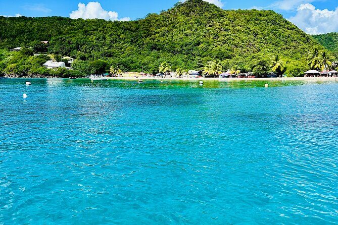 Martinique : Observation des dauphins et snorkeling - Setting the Scene: What to Expect from the Tour