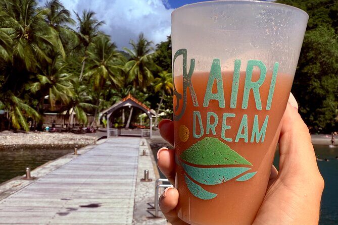 Martinique : Observation des dauphins et snorkeling - What Travelers Are Saying