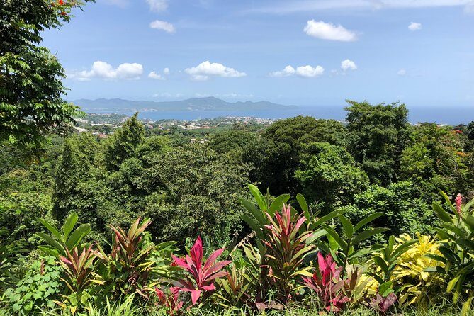 Martinique Shore Excursion - Unmissable Martinique North tour - Practical Tips for Travelers