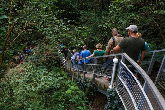 Martvili canyon & Prometheus Cave group tour from Tbilisi - Who Will Enjoy This Tour?