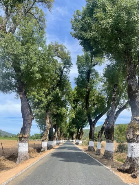 Marvão: Buggy & Quad Tours - Who Should Try This Tour?