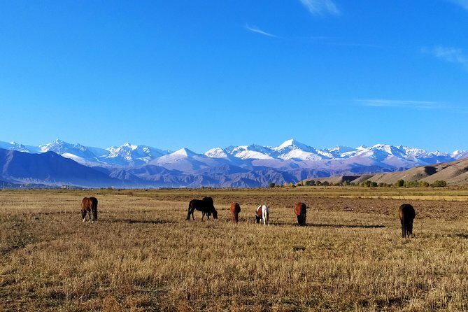 Marvellous 3 days around Issyk-Kul lake - An In-Depth Look at the Itinerary