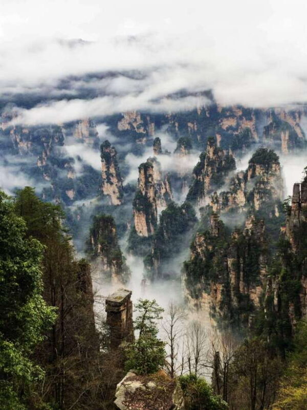 Marvelous Zhangjiajie Day Tour With National Forest Park - Analyzing the Value