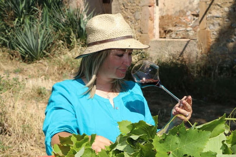 Mas Farchat: Wine tasting and tapas in the heart of nature - Key Points