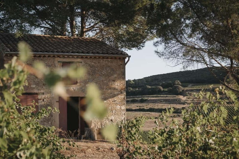 Mas Farchat: Wine tasting and tapas in the heart of nature - A Scenic Taste of Occitanie’s Wine Country