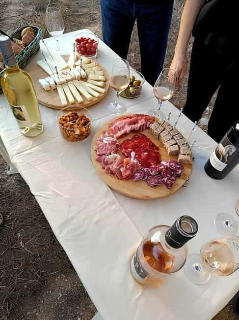 Mas Farchat: Wine tasting and tapas in the heart of nature - The Tasting and Tapas
