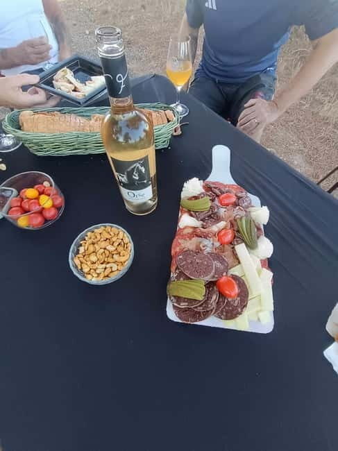 Mas Farchat: Wine tasting and tapas in the heart of nature - Small Group, Personal Experience