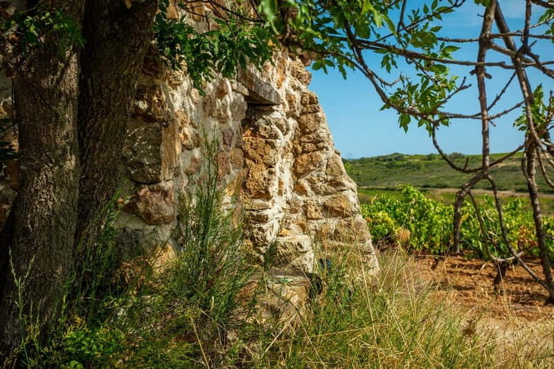 Mas Farchat: Wine tasting and tapas in the heart of nature - Who Will Love This Experience?