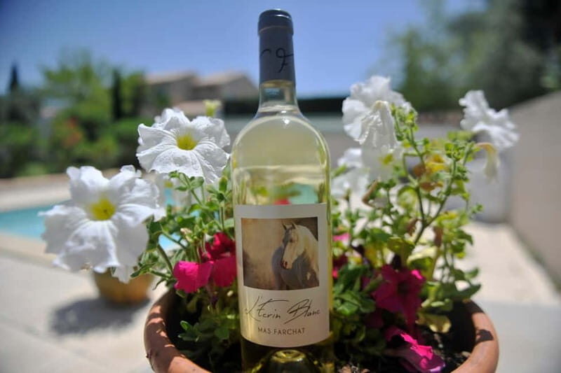 Mas Farchat: Wine tasting and tapas in the heart of nature - FAQ