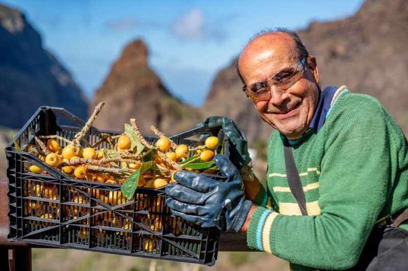 Masca - Garachico - Teide discovery walks - Who Will Love This Tour?
