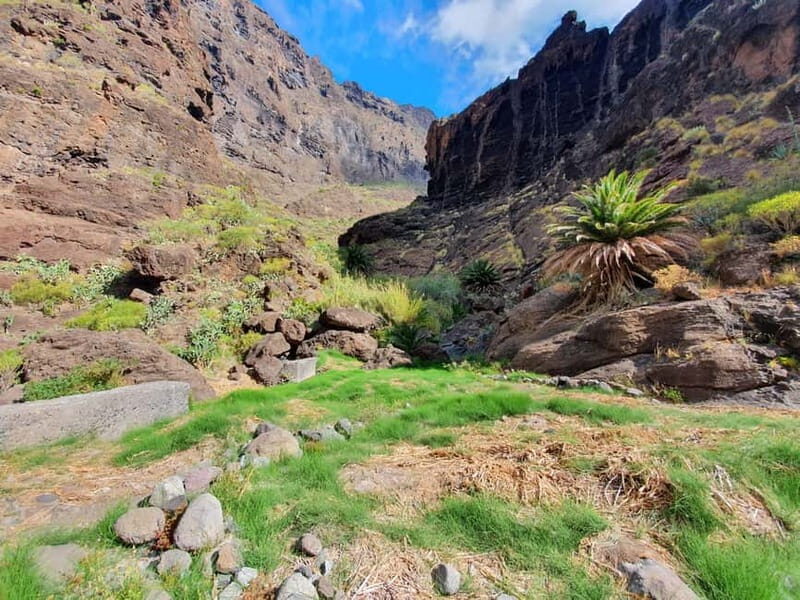 Masca Gorge Guided Hike + Boat Ride + Transport - An Overview of the Experience