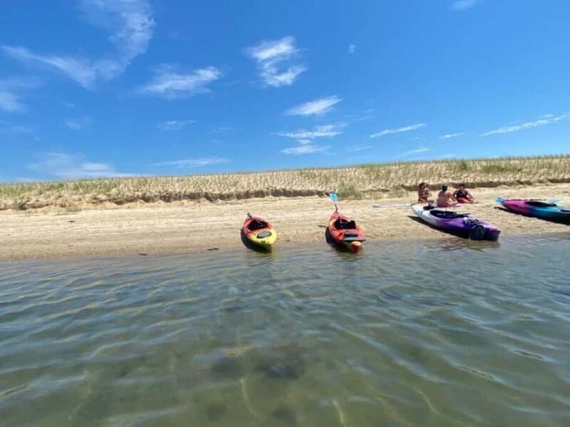 Mashpee: Paddle Board & Kayak Rentals - Key Points