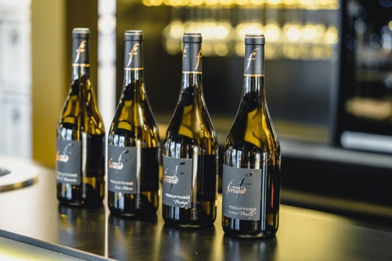 Mason: Visit and Tasting of the Estate's Wines - Key Points