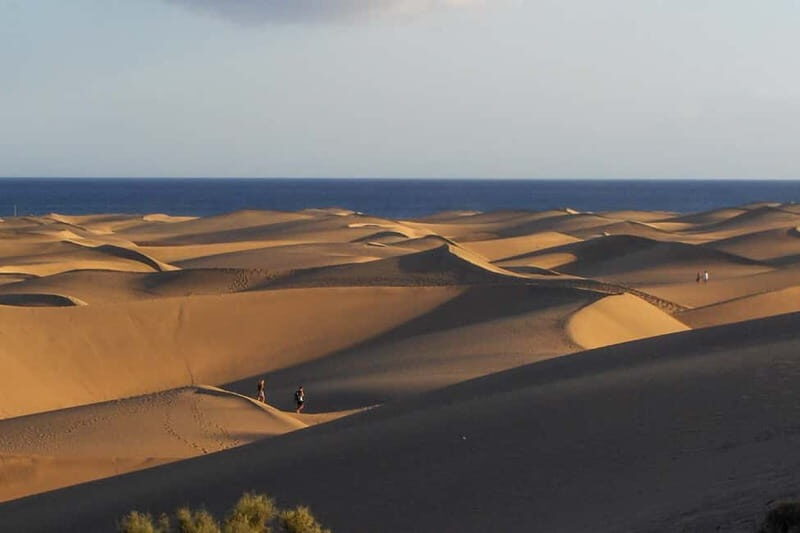 Maspalomas: 1 Hour Segway Sightseeing Tour - Introduction: A Quirky, Fun Way to Discover Maspalomas
