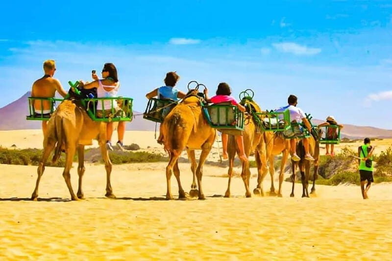 Maspalomas: 2-Seater E-Scooter Dunes Tour with Camel - Key Points