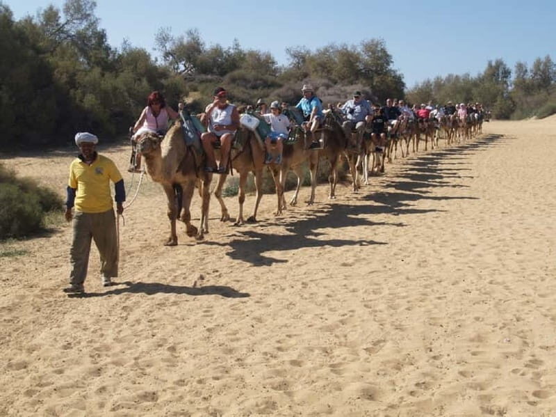 Maspalomas: 2-Seater E-Scooter Dunes Tour with Camel - Authentic Experiences and Customer Feedback
