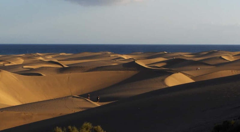 Maspalomas: 2-Seater E-Scooter Dunes Tour with Camel - FAQ