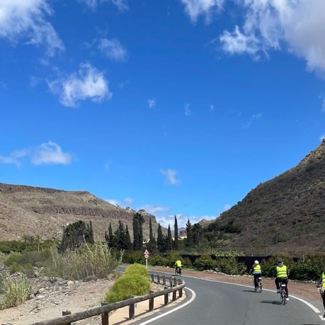 Maspalomas: Ayagaures E-Bike Mountain Tour Optional Tapas - Key Points