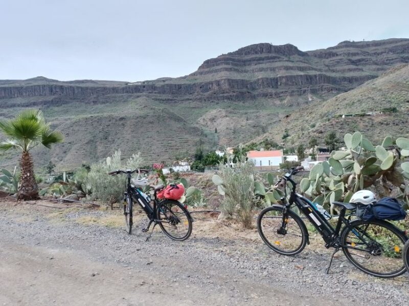 Maspalomas: Ayagaures E-Bike Mountain Tour Optional Tapas - Why This Tour Offers Good Value