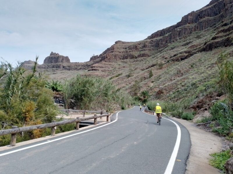 Maspalomas: Ayagaures E-Bike Mountain Tour Optional Tapas - Final Thoughts
