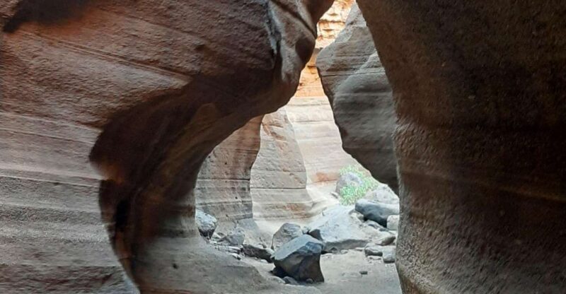 Maspalomas: Barranco de las Vacas, Caves, Farmhouse Tour - A Close Look at the Tour Itself