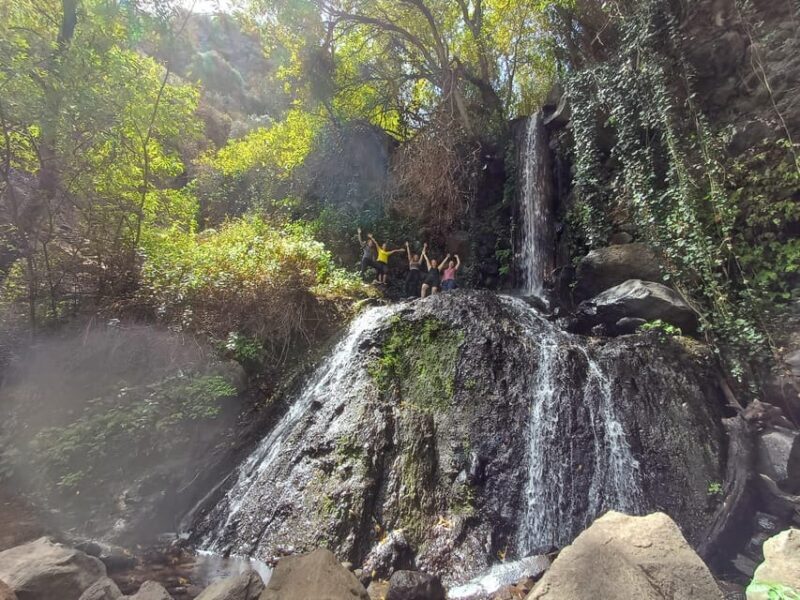 Maspalomas: Barranco de los Cernicalos Rainforest Hike - Key Points